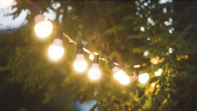 Understanding the Laws Around Artificial Light Nuisance | Pinney ...